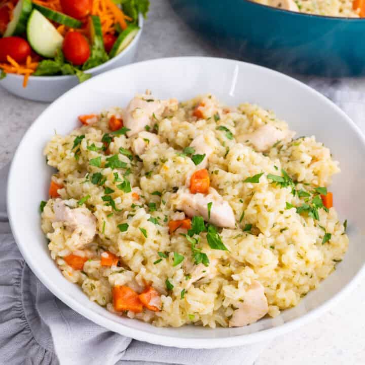 Easy One Pot Chicken and Rice {Video & Recipe} - Joyful Momma's Kitchen