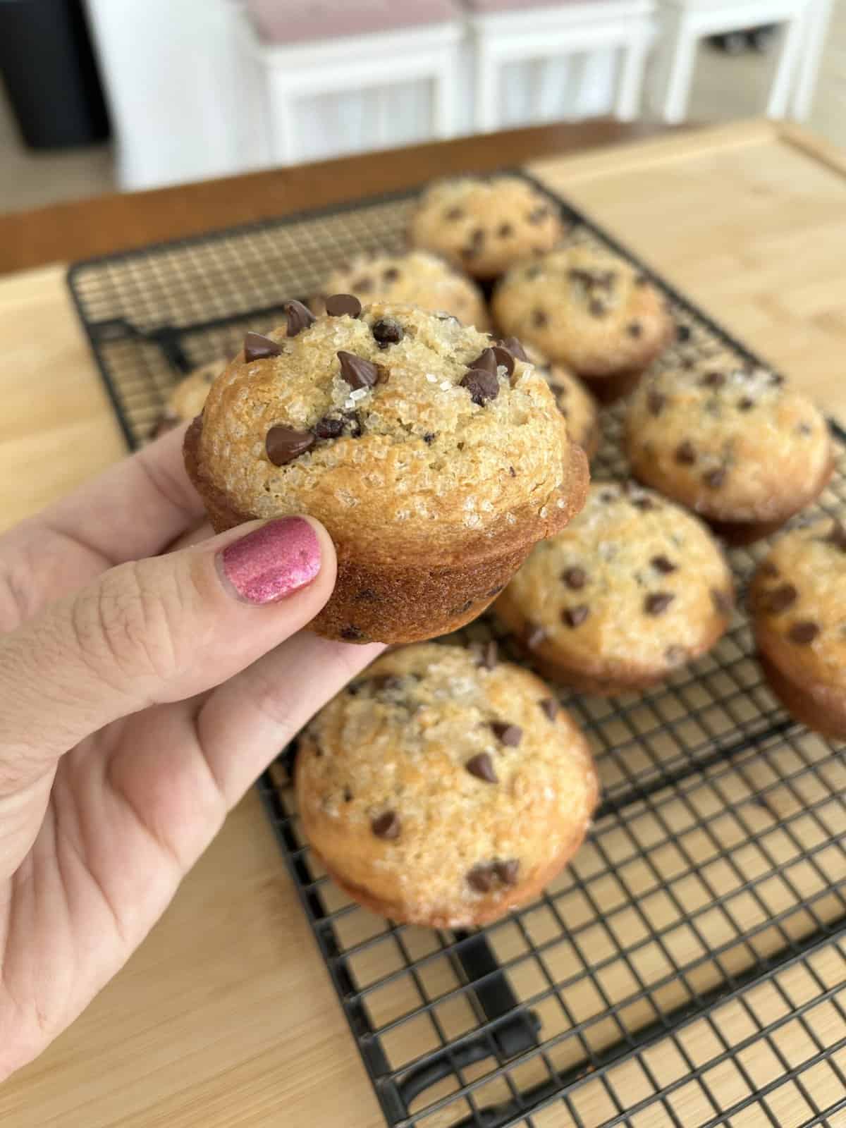 The Best Bakery Style Chocolate Chip Muffins {Easy Recipe} - Joyful ...